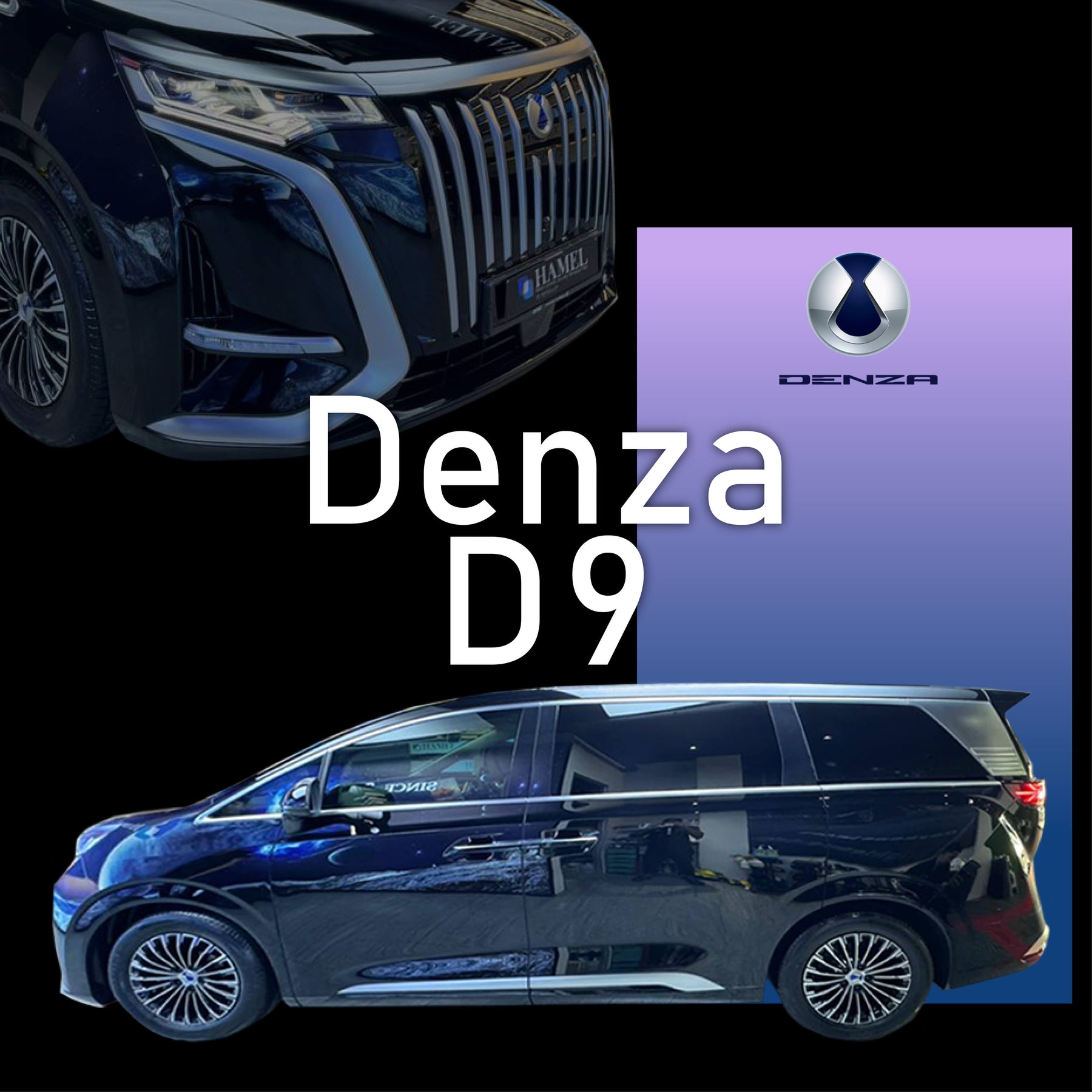 DENZA – Hamel Marketing